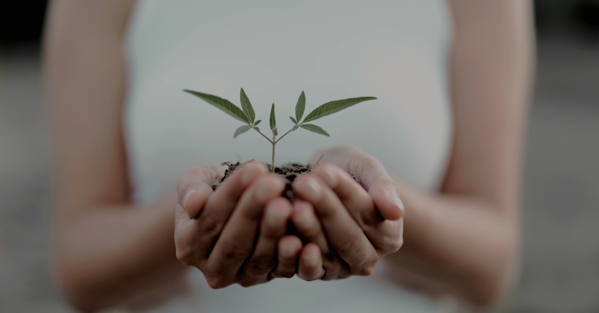9 Ways How an Agile Manager Helps Grow a Team - Responsive Advisors